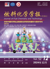 TNTs结构强化TNTs/SnO2-Sb电极电催化活性的影响机制_中国煤炭行业知识服务平台